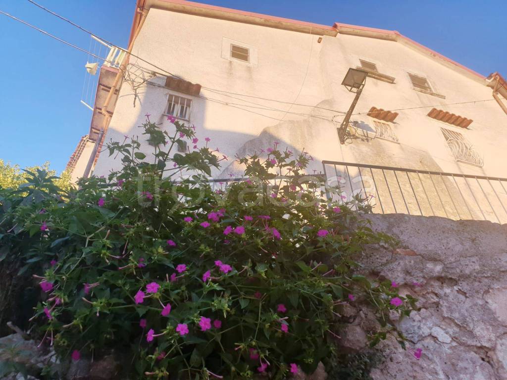 Appartamento in in vendita da privato a Vico del Gargano strada Scorrimento Veloce del Gargano