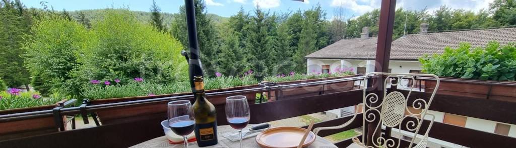 Appartamento in in vendita da privato a San Benedetto Val di Sambro via degli Dei, 18