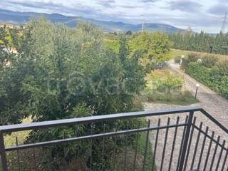 Appartamento in vendita a Quarrata via di Brana