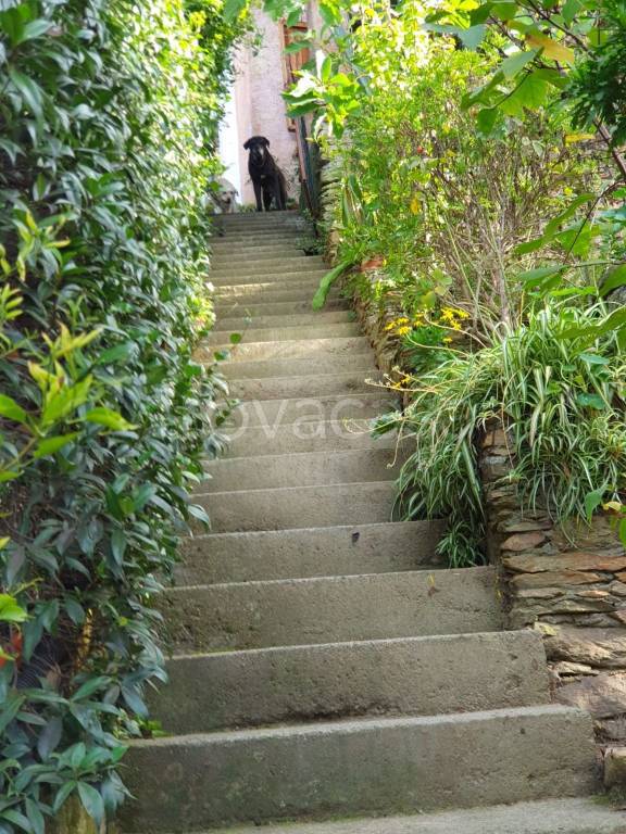 Villa in vendita a Pietrasanta