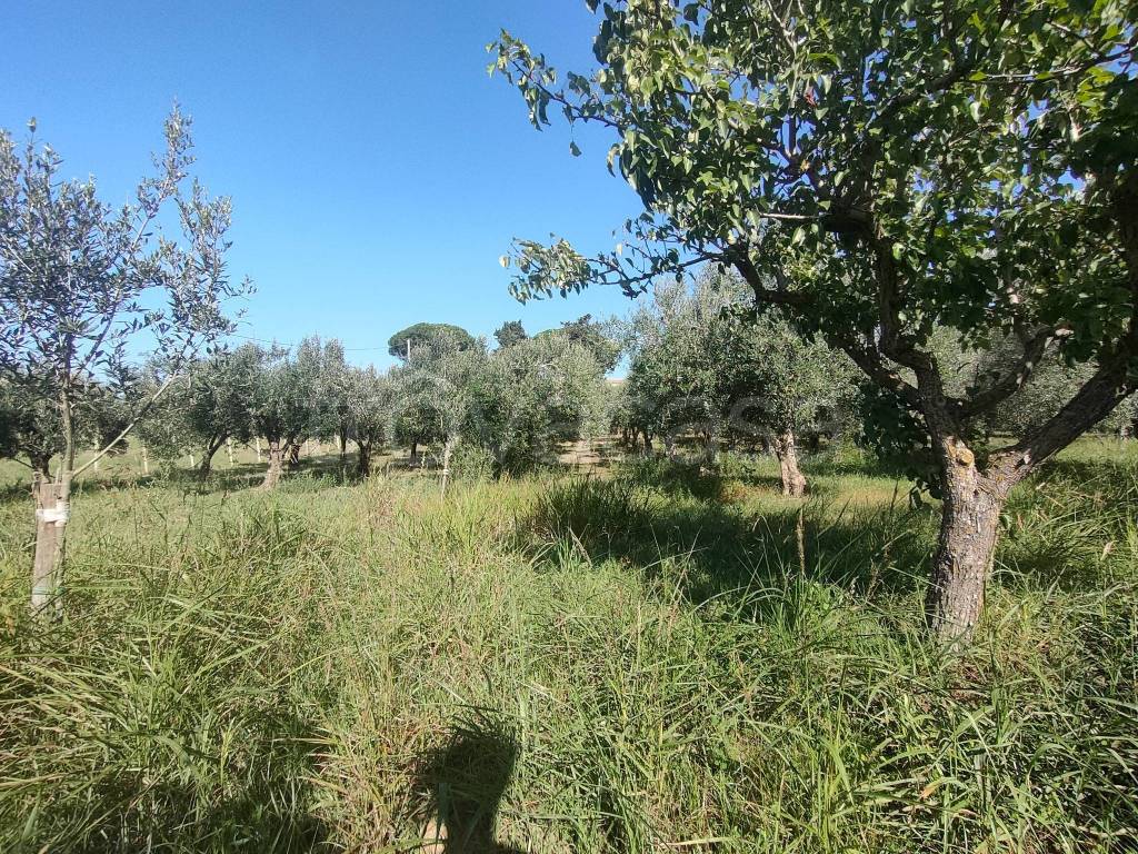 Villa in vendita a Balestrate c/da Rocca