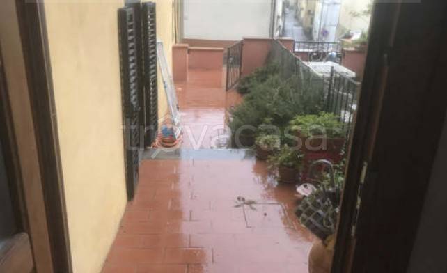 Appartamento in vendita a Capraia e Limite via Gian Domenico Polverosi, 35