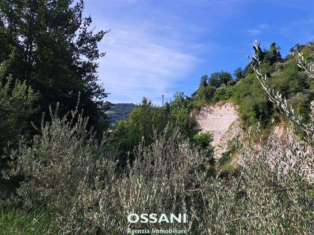 Casa Indipendente in vendita a Brisighella via pontenono, 78