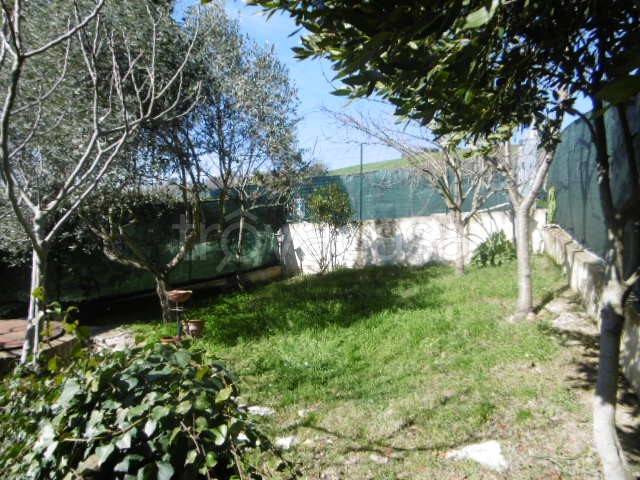 Villa Bifamiliare in vendita ad Ancona