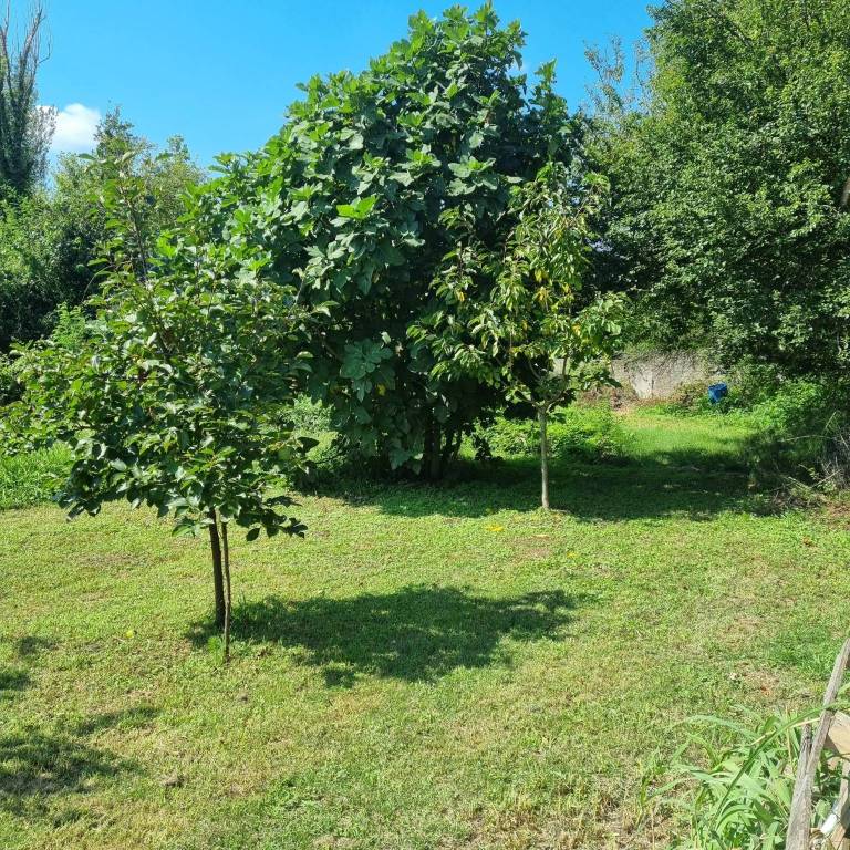Rustico in vendita a Casaletto Ceredano via Montenero, 18
