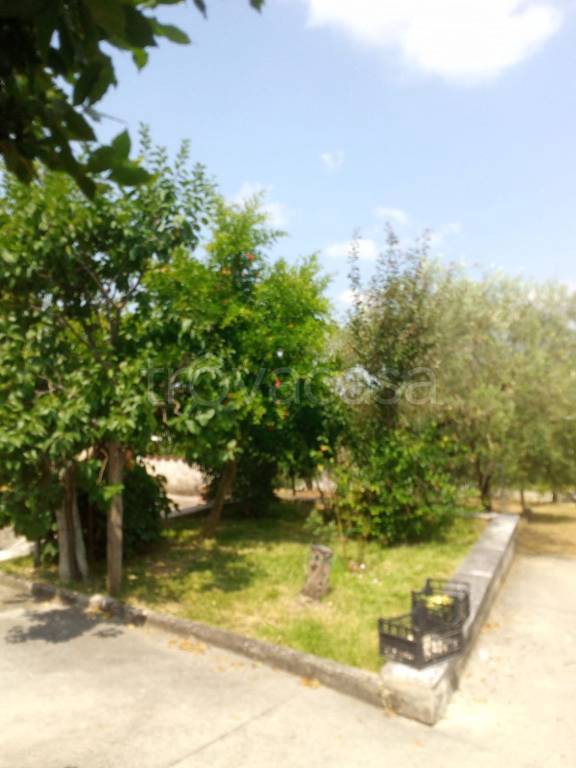 Casa Indipendente in in vendita da privato a Cassino via Ausonia