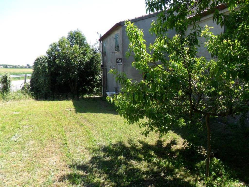 Appartamento in vendita a Polesella complesso residenziale Polesella