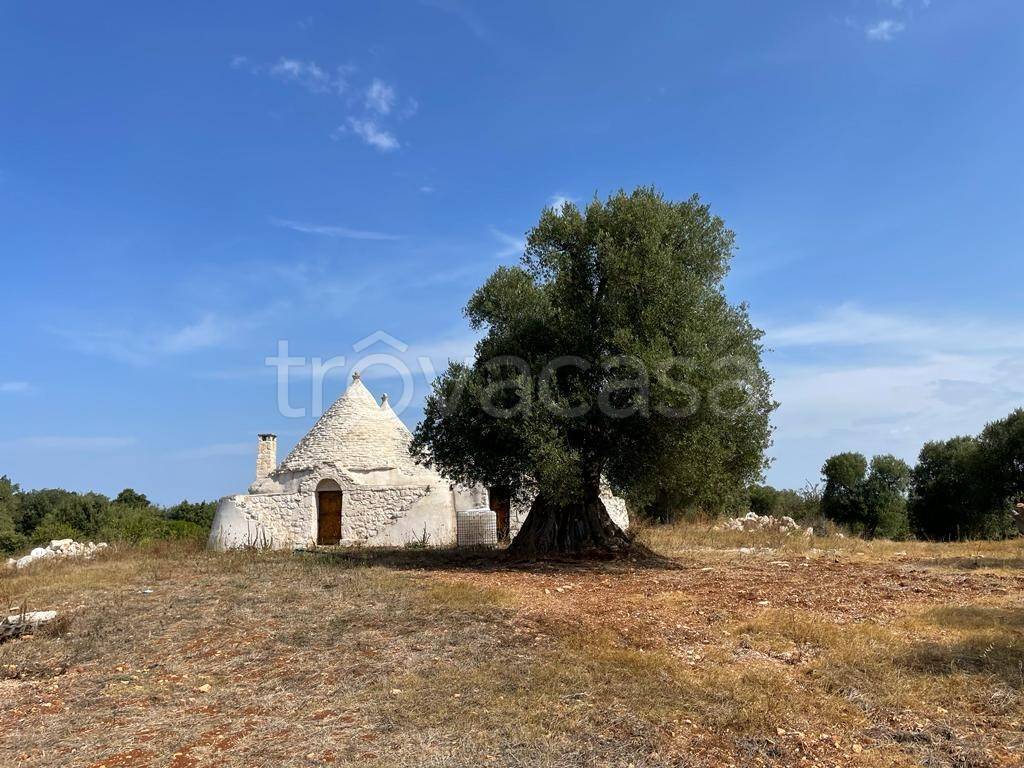 Trullo in vendita a Ceglie Messapica contrada monte pizzuto