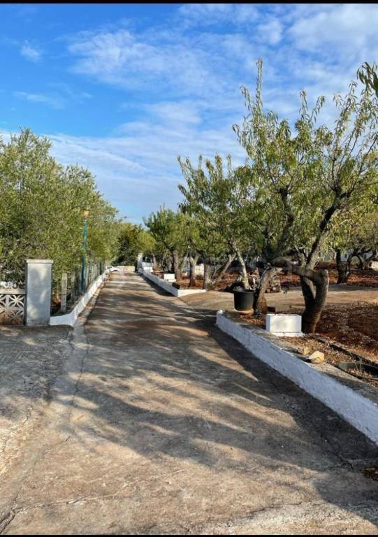 Villa in vendita a Ostuni contrada Morrella