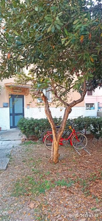 Appartamento in vendita a Civitavecchia via Michelangelo Buonarroti, 174