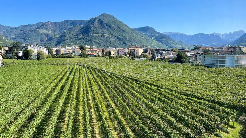 Appartamento in vendita a Bolzano via della Mendola
