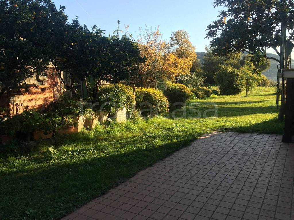 Villa Bifamiliare in vendita a Taggia