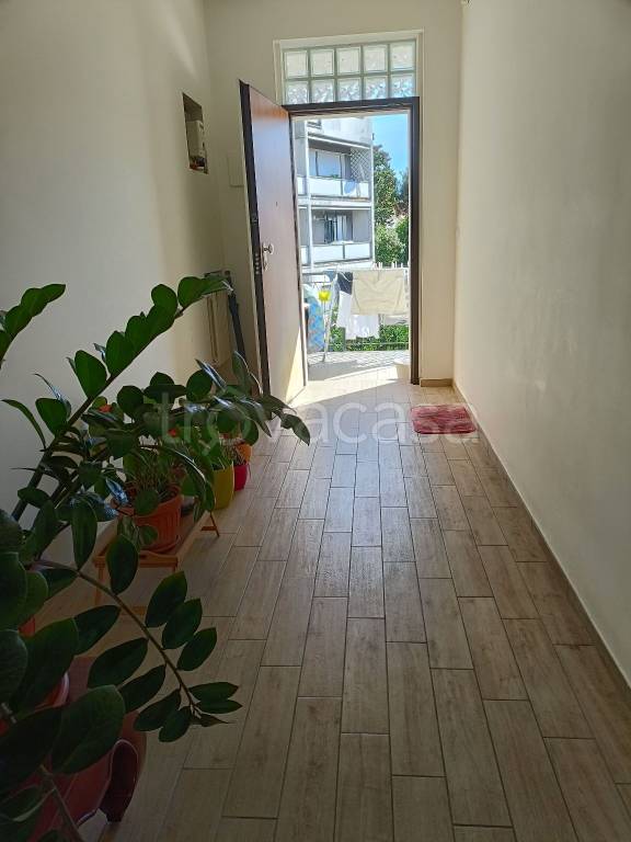 Appartamento in in vendita da privato a Montesilvano via Serchio, 8