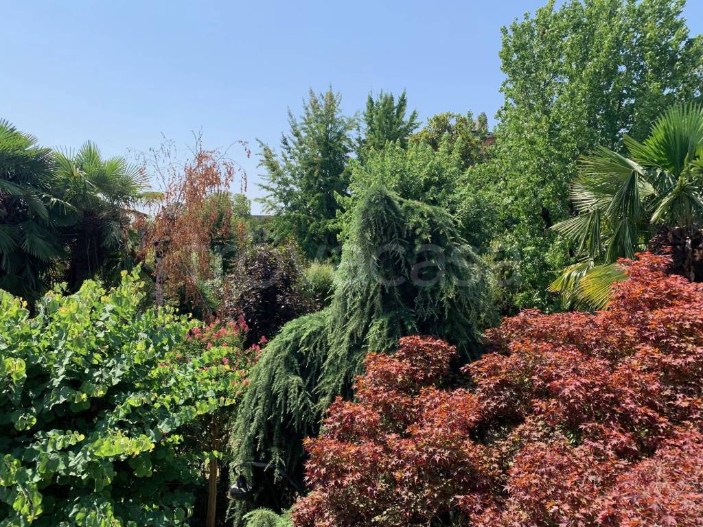 Villa in vendita a Belgioioso via 20 Settembre