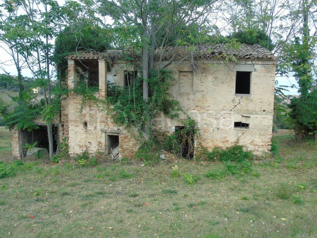 Colonica in in vendita da privato a Castelfidardo contrada Pescara