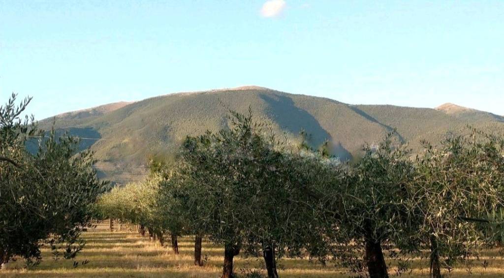 Casale in in vendita da privato a Spoleto
