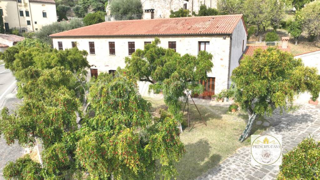 Casale in vendita ad Arquà Petrarca via fontana