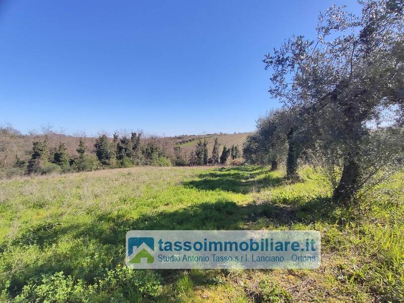 Rustico in vendita a Ortona via tratturello