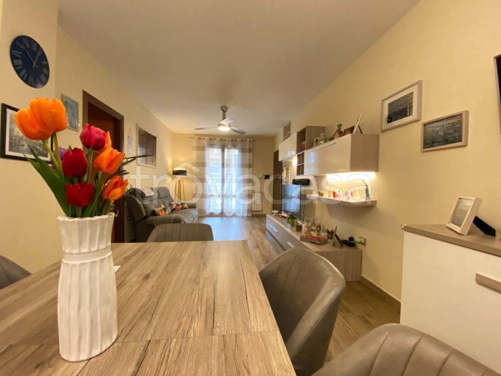 Appartamento in vendita a Prato via Attilio Masiani, 8