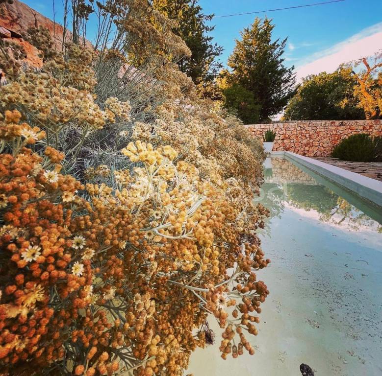 Trullo in vendita a Ostuni contrada Fragnite