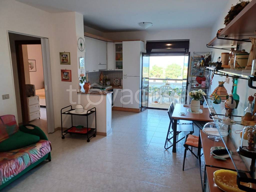 Appartamento in in vendita da privato a Santa Caterina dello Ionio via delle Serre