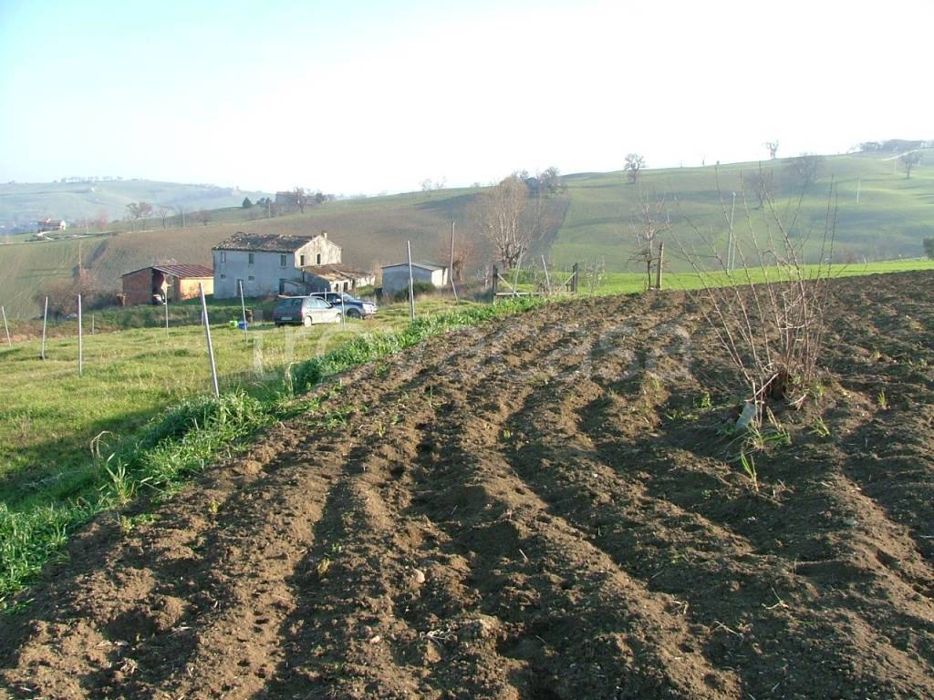 Colonica in vendita a Staffolo contrada Cavalline
