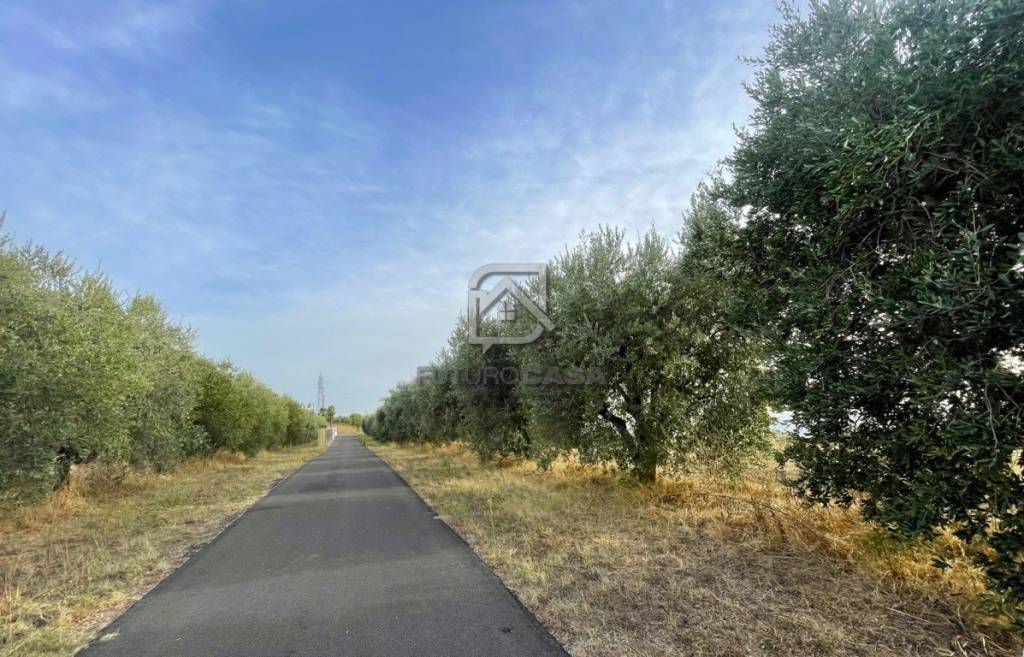 Villa in vendita a Montecalvo Irpino