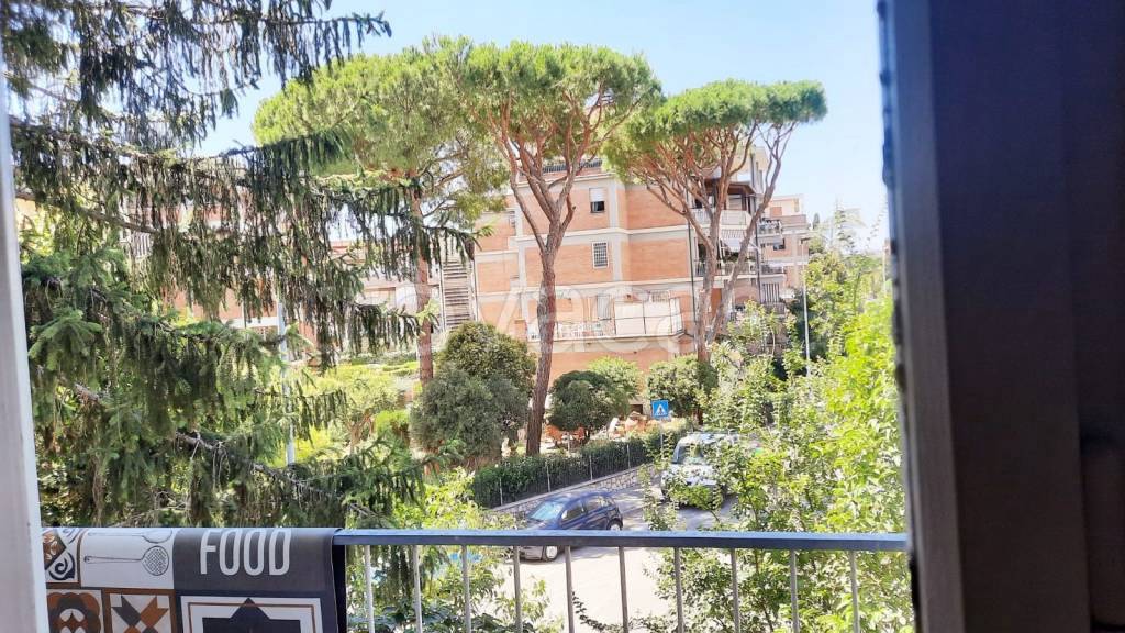 Appartamento in in vendita da privato a Grosseto via Basilicata, 2