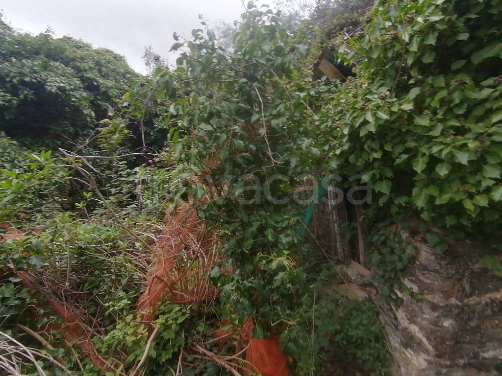 Cascina in vendita a Sori