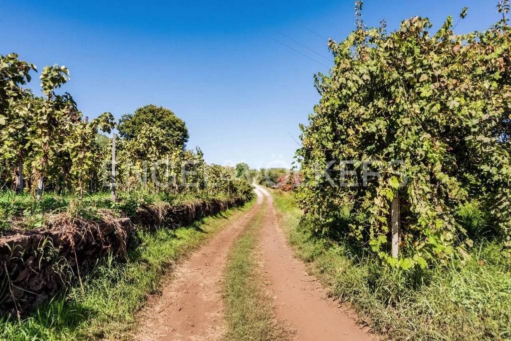 Casale in vendita a Castiglione di Sicilia strada Provinciale Etna Settentrionale o Quota Mille