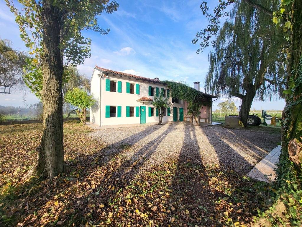 Rustico in in vendita da privato a Chiarano via Zoppinedi, 28