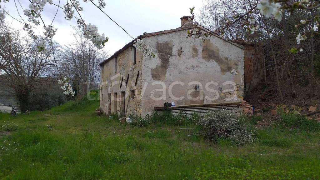 Colonica in in vendita da privato a Pergola frazione Montevecchio, snc