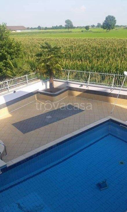 Appartamento in in vendita da privato a Bornasco via Trento