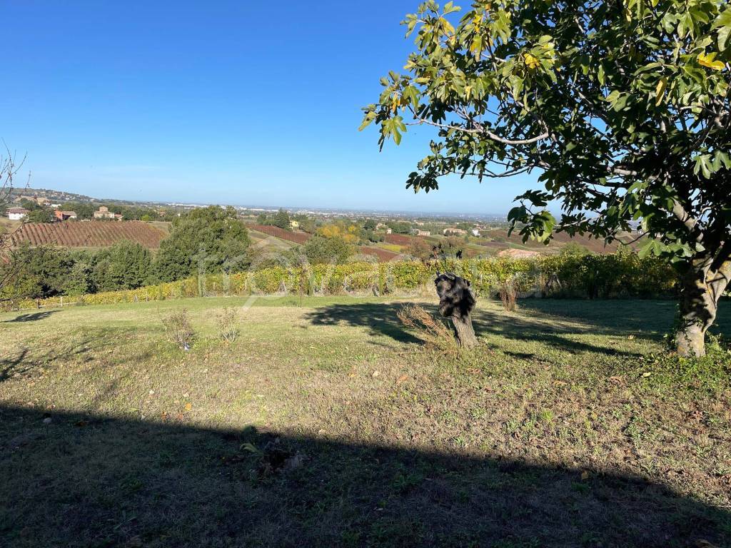 Villa in vendita a Castelvetro di Modena
