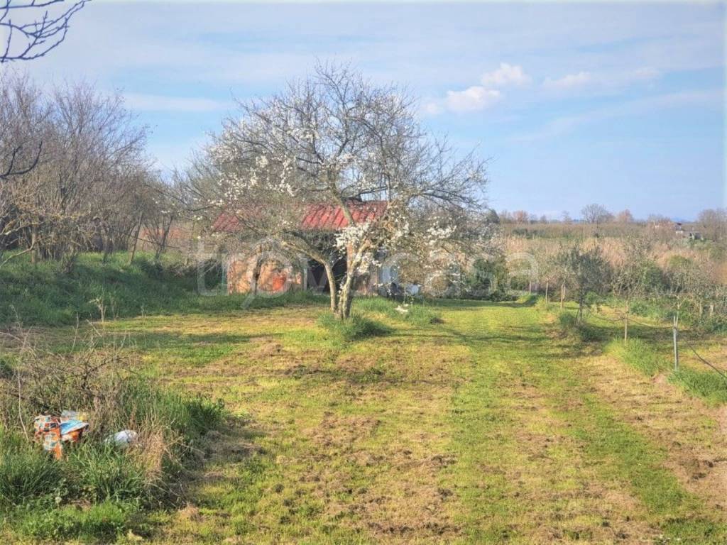 Cascina in vendita a Fabrica di Roma sp71, 10