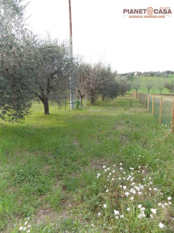 Villa in vendita a Colli del Tronto via Salaria