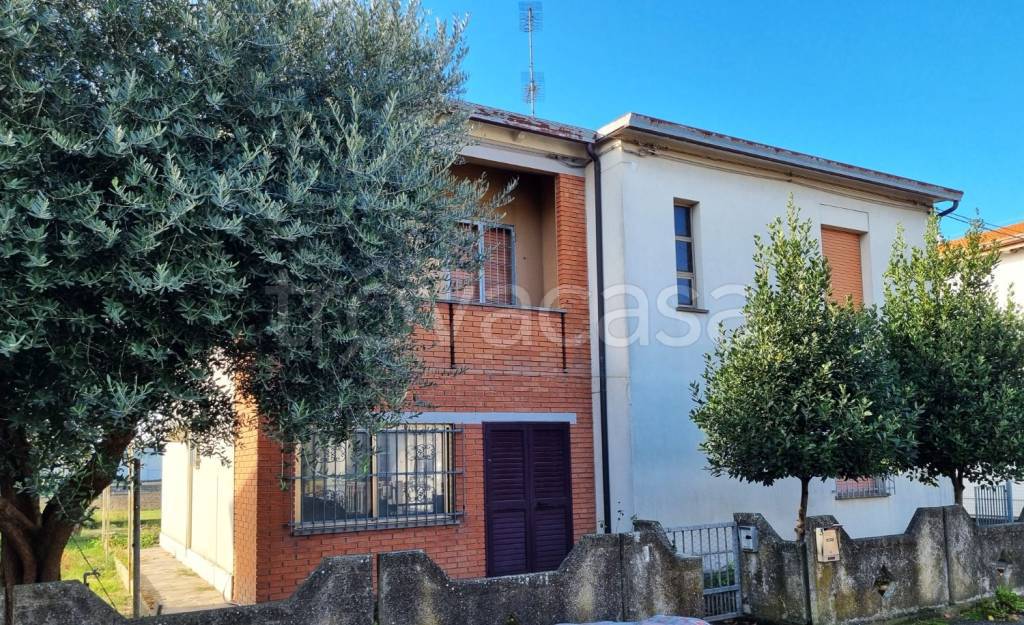 Appartamento in vendita a Conselice via Coronella, 125