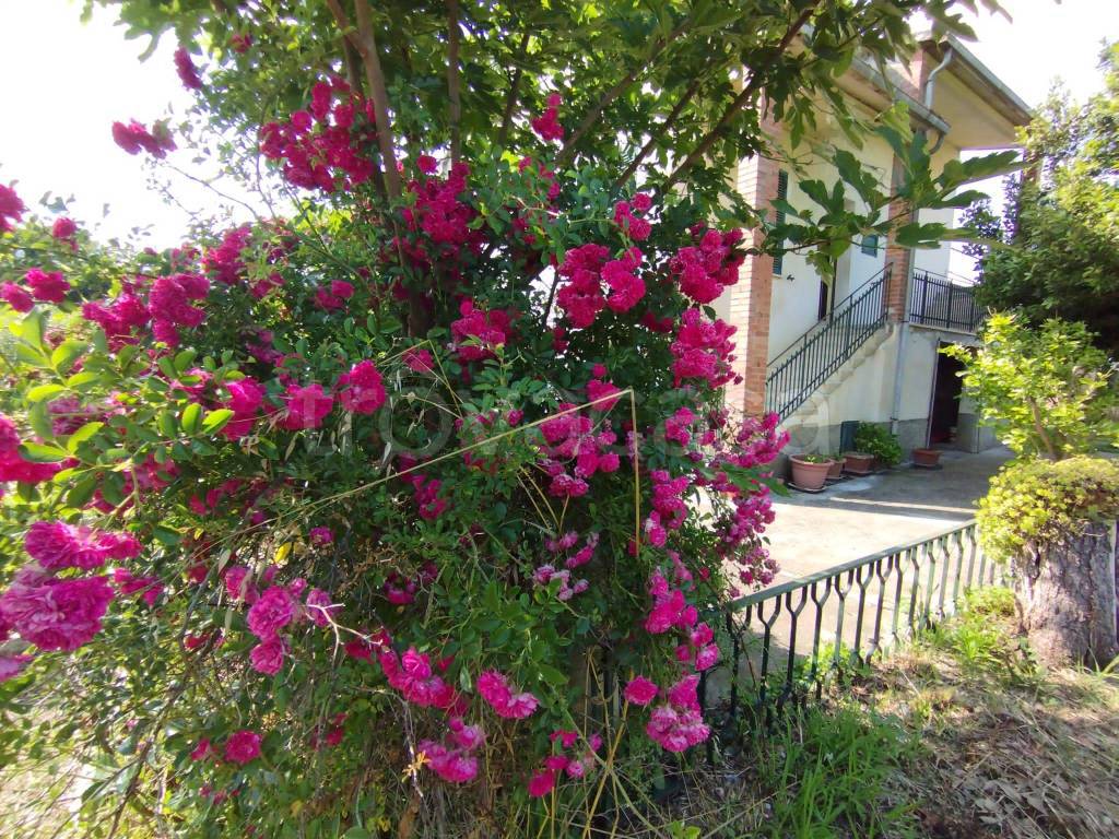 Colonica in vendita a Marsciano località Stazione di Papiano