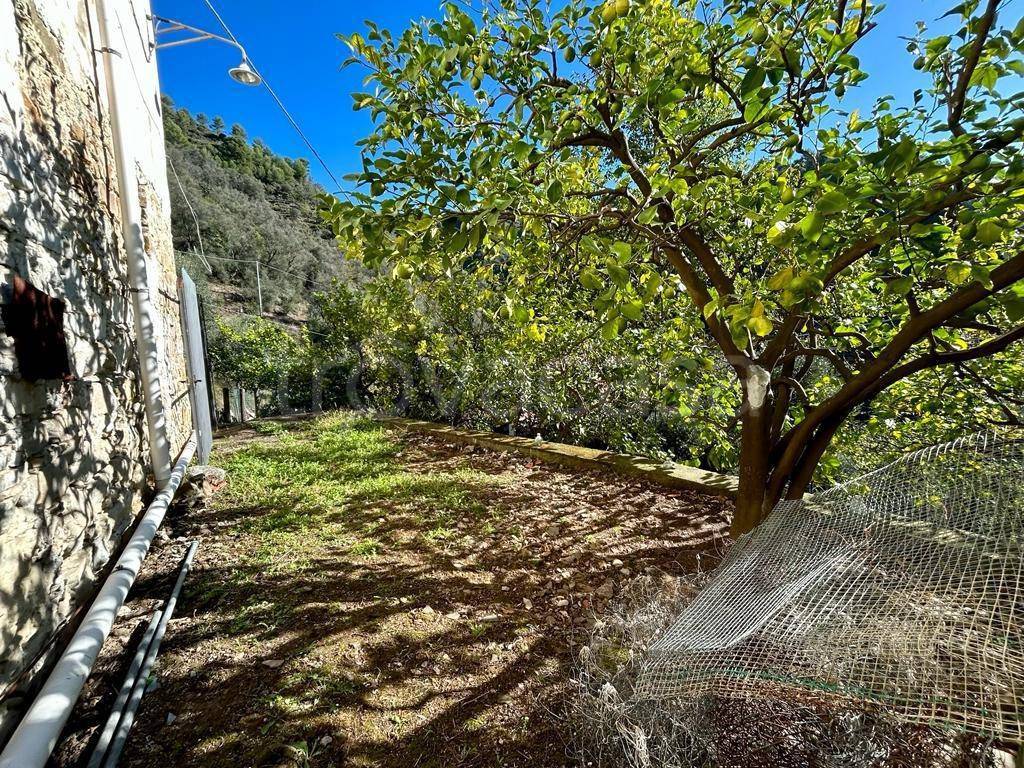 Casa Indipendente in vendita a Camporosso centro storico