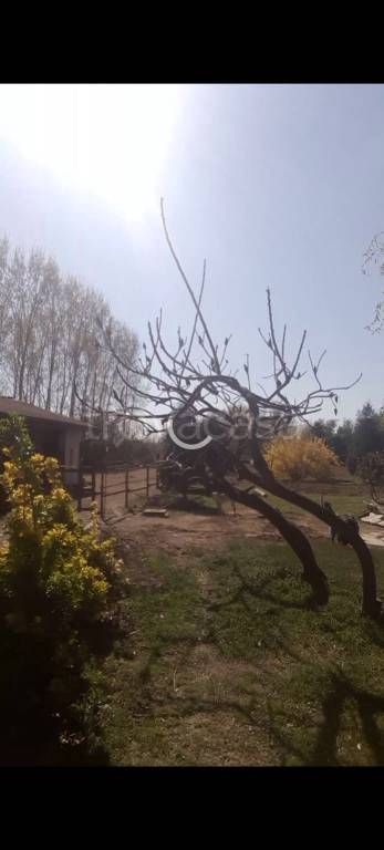 Casale in in vendita da privato a Palestro via Riondone, 16