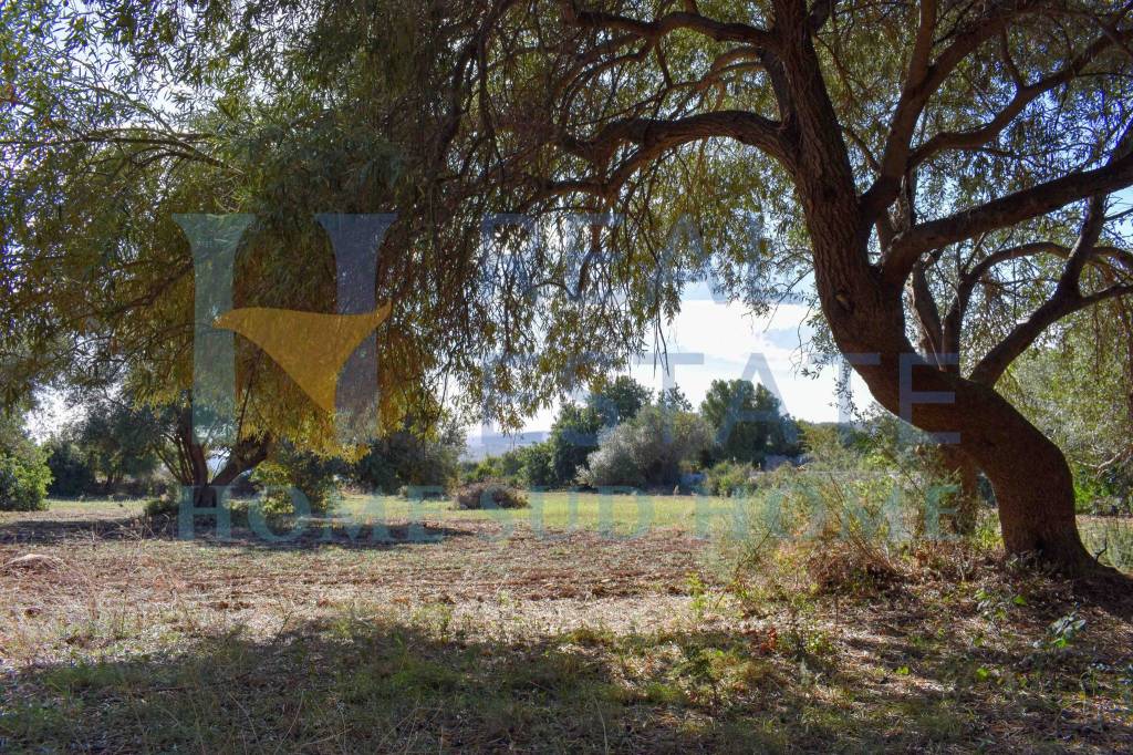 Villa in vendita a Noto via Tommaso Fazello, 228