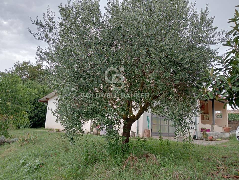 Rustico in vendita a Gallese strada Loiano