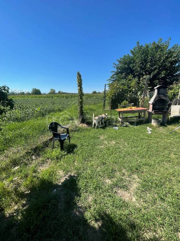 Villa Bifamiliare in in vendita da privato a Legnago via Livello, 34