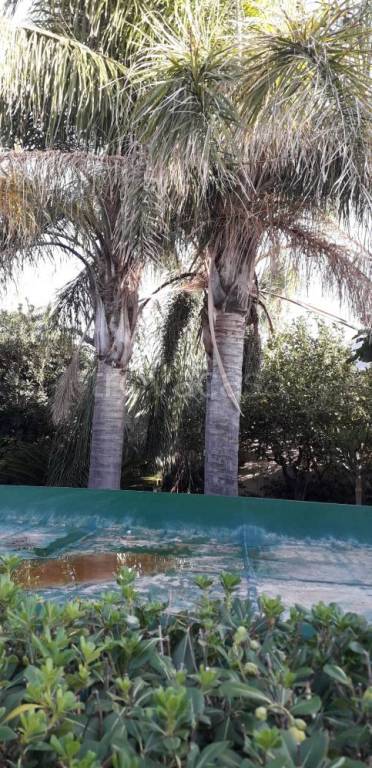 Villa Bifamiliare in in vendita da privato a Terrasini via Palermo, 3