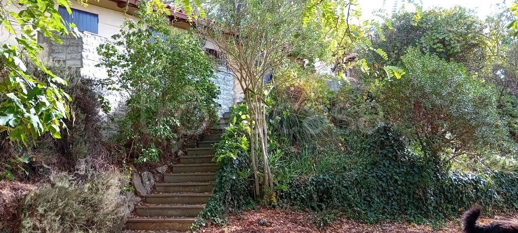 Intero Stabile in in vendita da privato a Piazza Armerina contrada Fratulla, 1