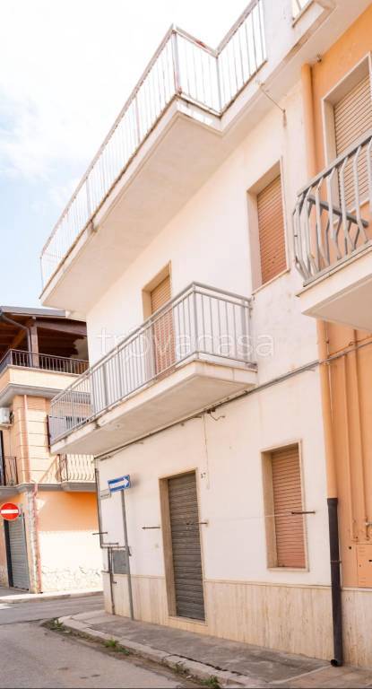 Appartamento in in vendita da privato a Carapelle via Regina Giovanna, 57