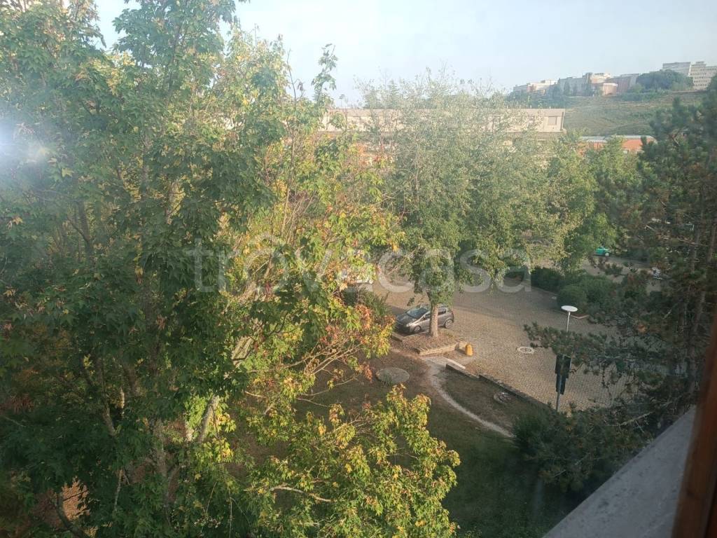 Appartamento in in vendita da privato a Siena via Ferruccio Parri, 12