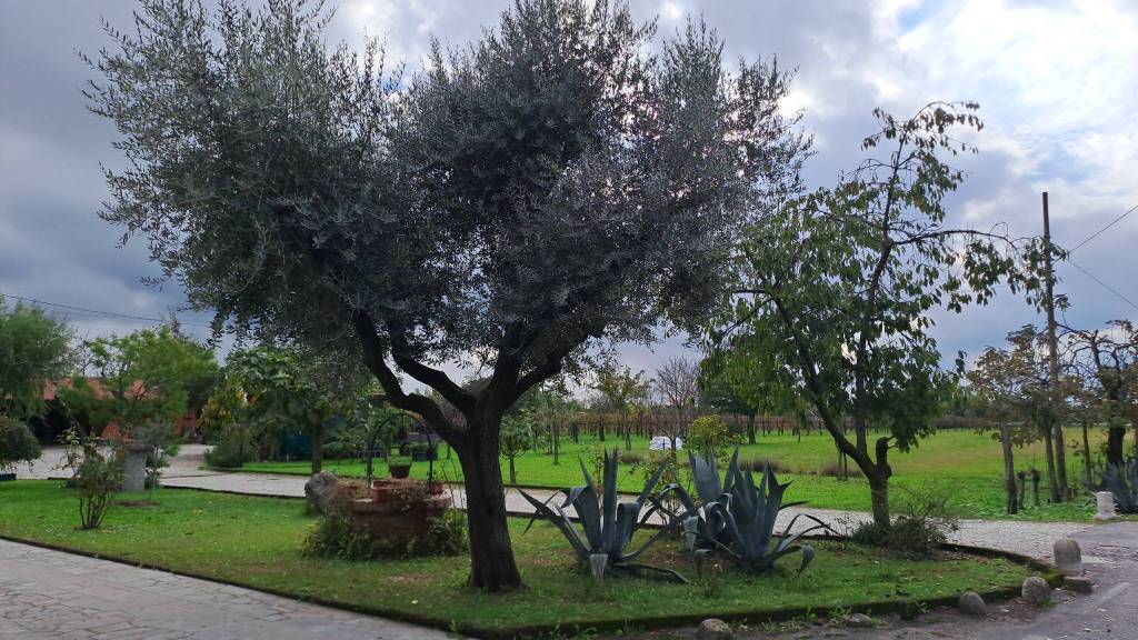 Appartamento in vendita a Buttrio via Prestau, 8