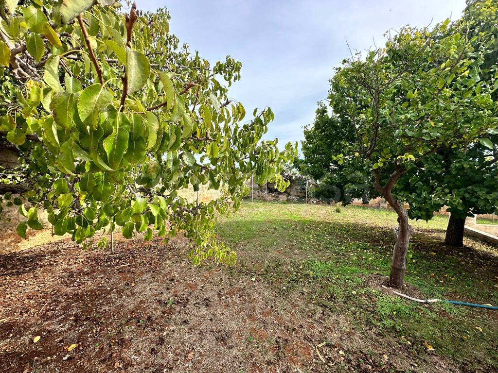 Villa in vendita a Salve via Litoranea
