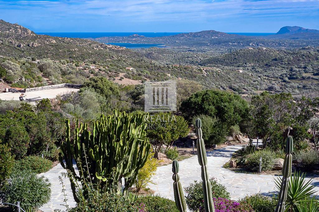 Villa a Schiera in vendita a Olbia sole Ruju